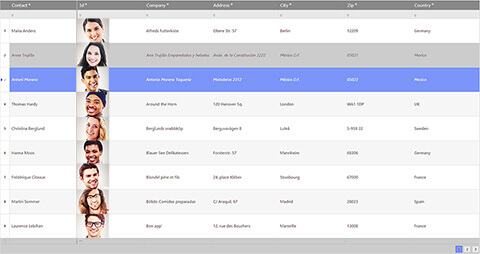 Ultimate UI for ASP.NET Web Forms Developer Toolkit | Infragistics