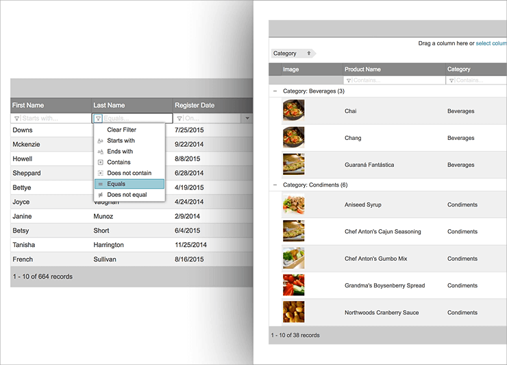 Data Grid Component Javascript Html5 And Jquery Ignite Ui