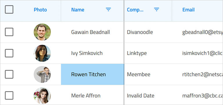 Angular Data Grid Ignite Ui Table Controls For Angular Applications Infragistics