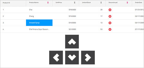 Angular Data Grid | Ignite UI Table Controls for Angular Applications | Infragistics